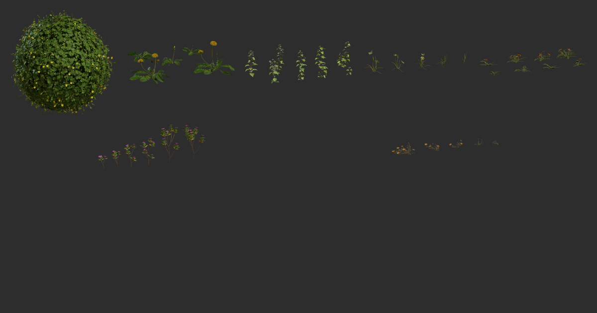 Models: Nature > Flowers > Ground Cover • Poly Haven
