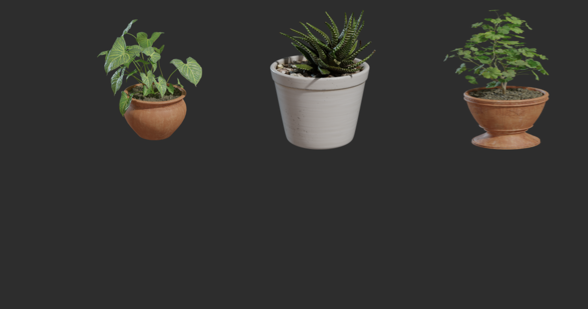 Models: Nature > Plants > Decorative • Poly Haven