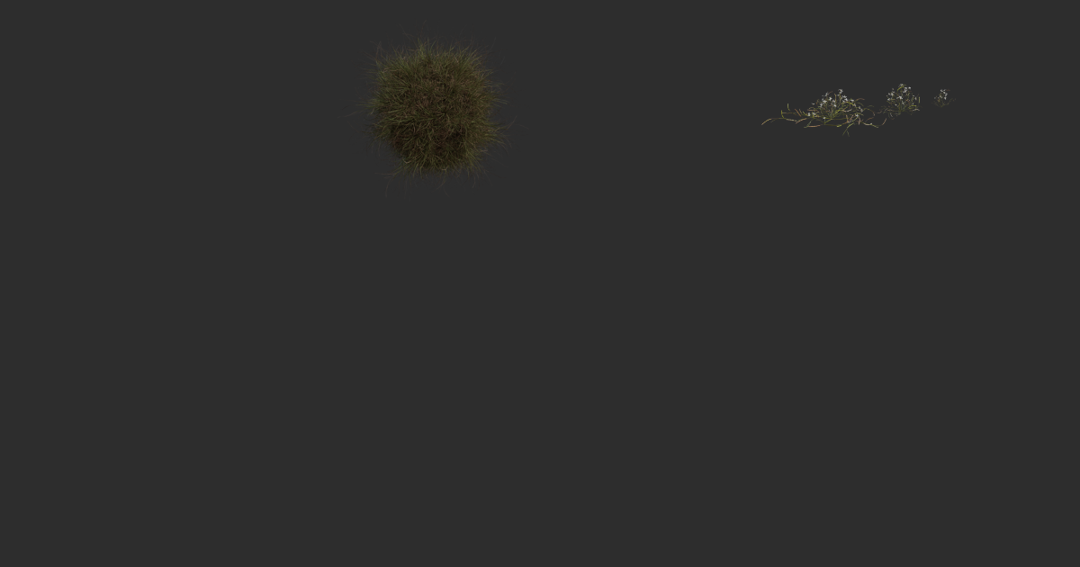 模型: Nature > Plants > Ground Cover > Grass • Poly Haven